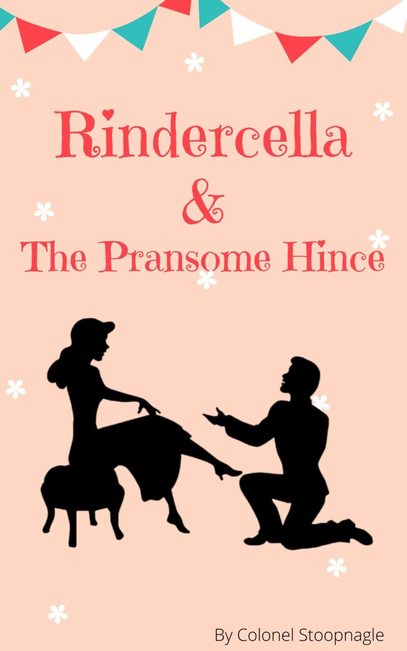 Rindercella and the Pransome Hince - Santa Visits USA